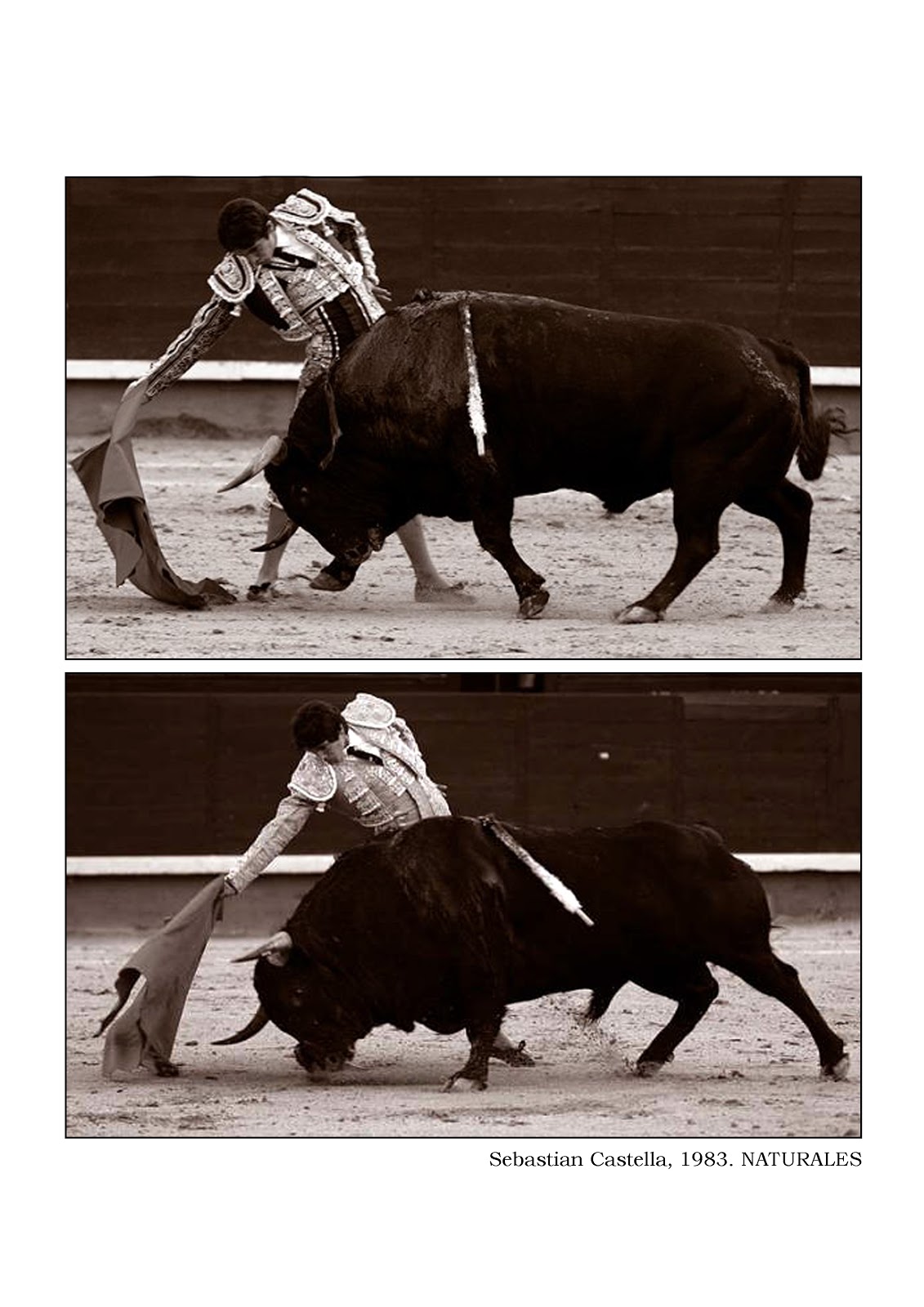 La Fiesta prohibida, por Manuel Hernández.: Sebastian CASTELLA. Muleta