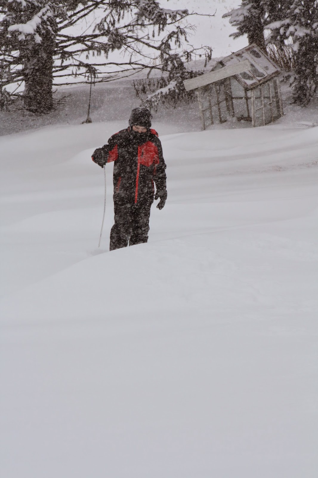 Real Life: It's a blizzard!