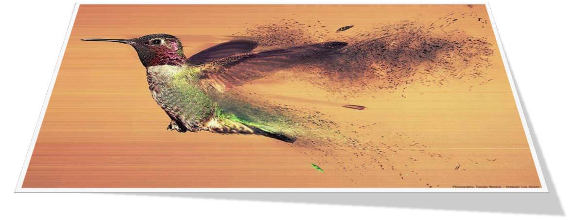 PSP Brasil - Paralisia supranuclear progressiva: setembro 2016