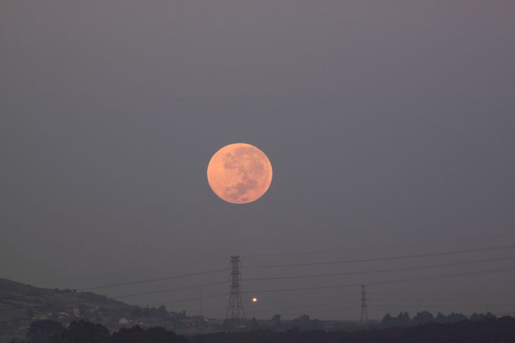 Photographer: Moon disappearing and sunrise.