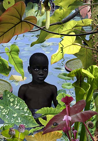 ART-OPOLOGY: Ruud van Empel
