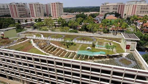 If Only Singaporeans Stopped to Think: More HDB multi-storey car parks ...