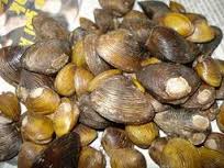 SIMBOLIKA: Makanan Popular Di Kelantan