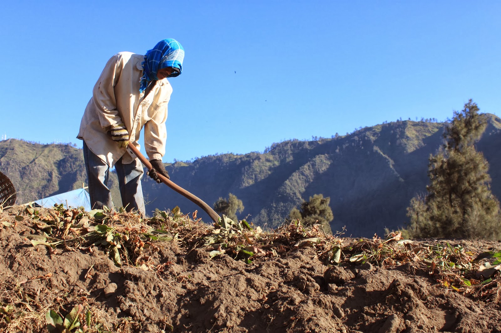 Jalan-jalan Biasa, Biasa Jalan-jalan: Kearifan Suku Tengger