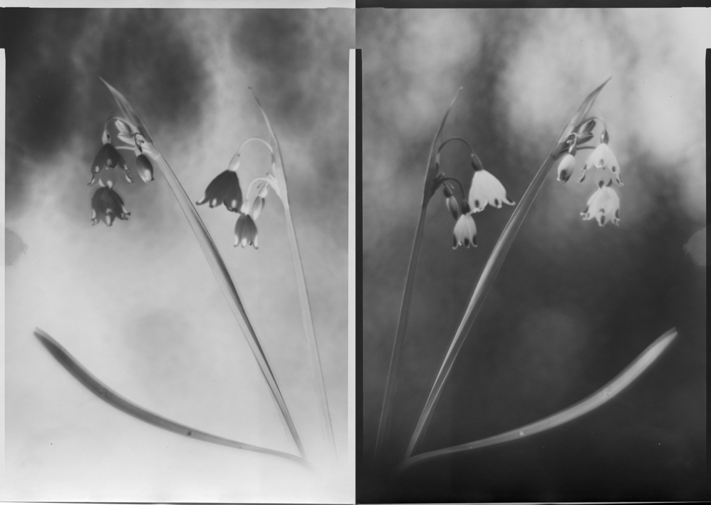 Historic photographic processes