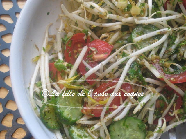 La fille de l'anse aux coques: SALADE DE TOMATES ET FÈVES GERMÉES