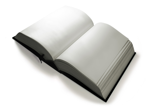 Dando sentido al lenguaje...: El Libro Blanco...