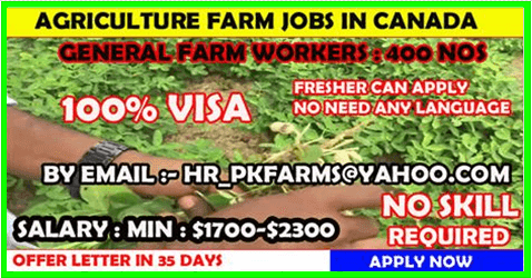 Vacancy For General Farm Workers in Canada | Apply Now