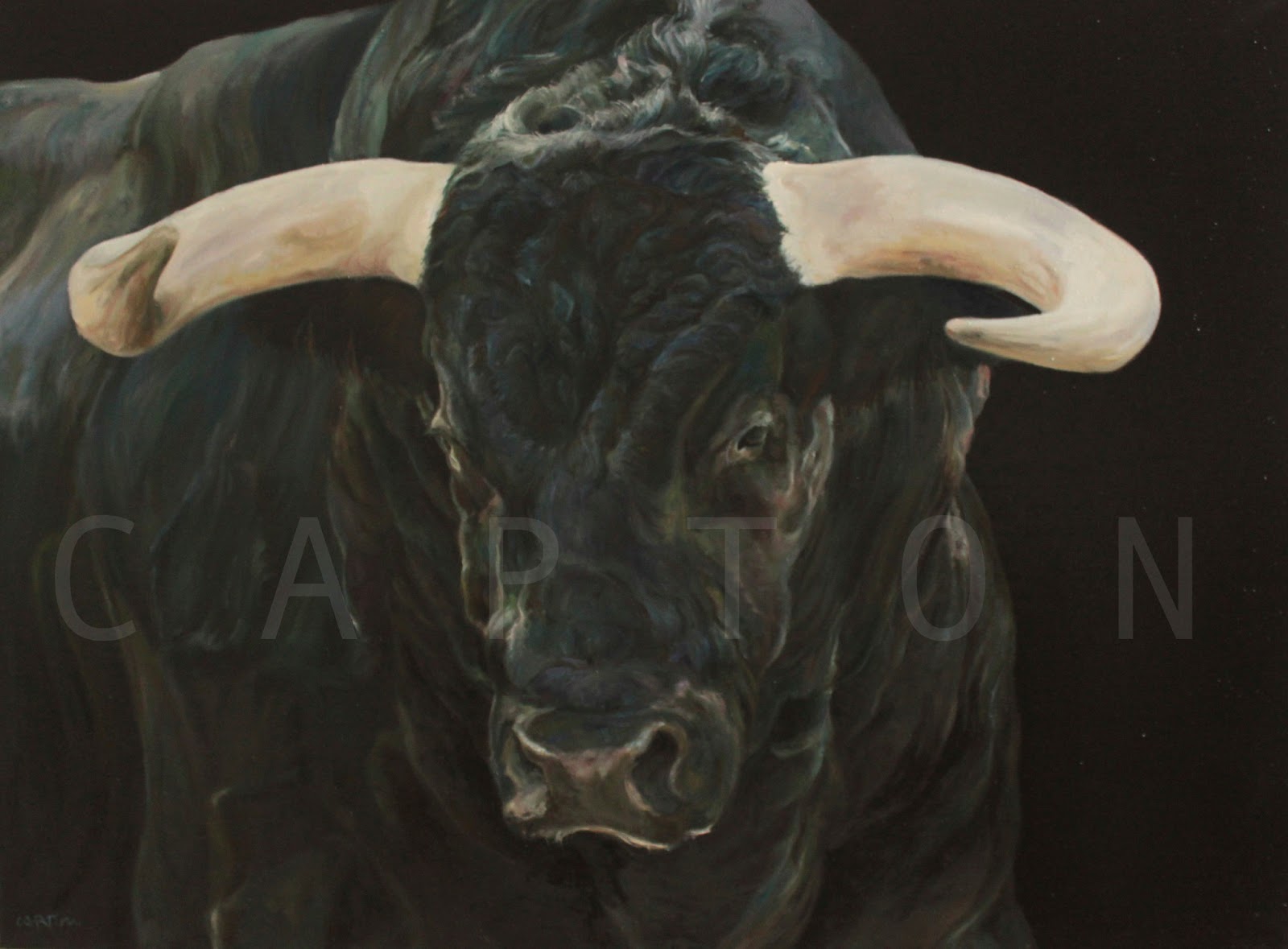 c a p t o n: PORTRAIT DE TORO VENDU A LA GALERIE PASCAL FREMONT