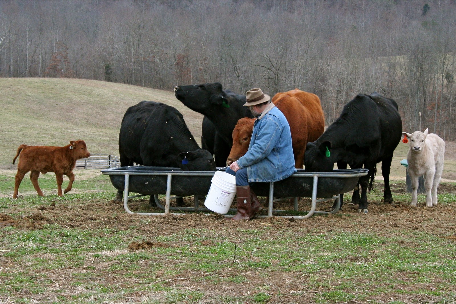 Farmwife at Midlife -: My Farmer, Outstanding in His Field (and out ...