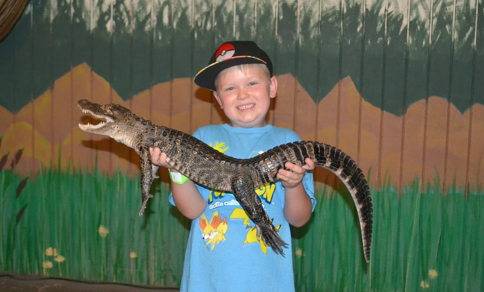 Visiting the Colorado Gator Farm - Building Our Story