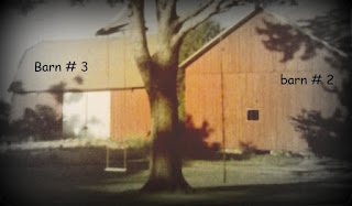 The Old Farmer's Daughter: Three Barns