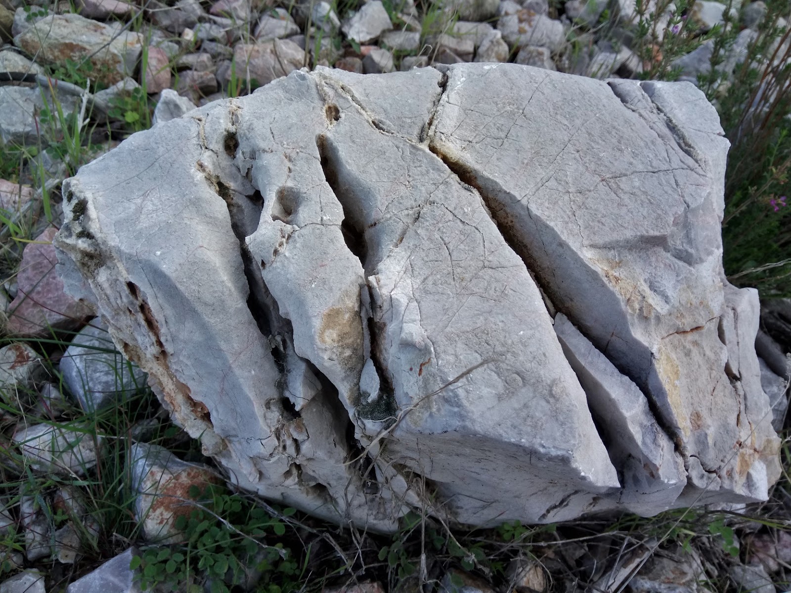 Γιώργος Πρίμπας (Στιγμές): [στο Ποικίλο Όρος 09.12.2018]