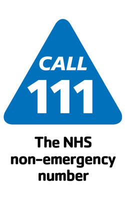 WEMBLEY MATTERS: Find out about the new Call 111 service (non-emergency ...