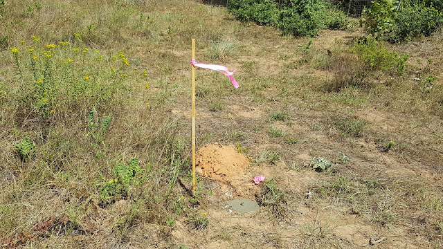 Texas Woodsman: Survey Pins Set in Concrete