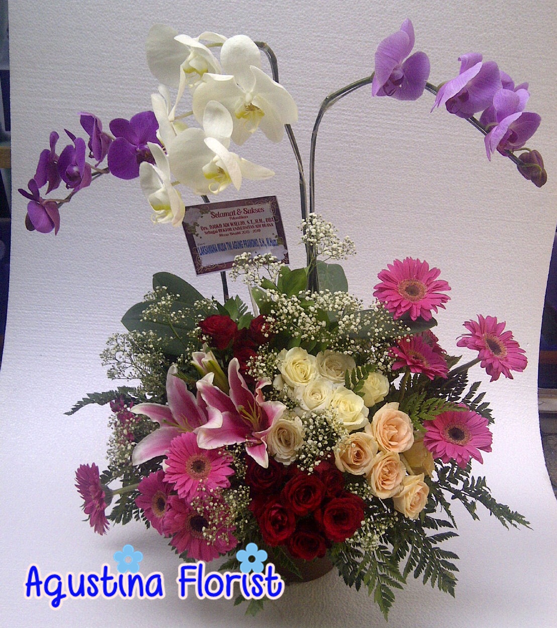 Bunga Meja Anggrek - 15 Bunga Online