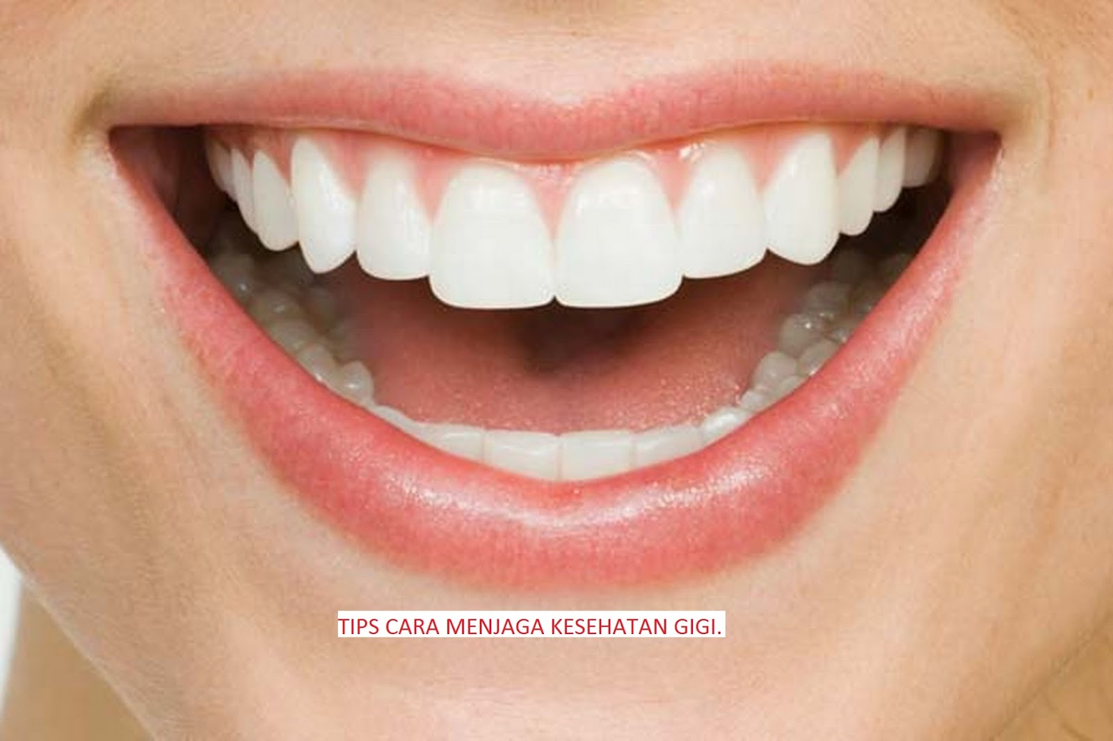 ANDA INGIN GIGI SEHAT DAN UTUH SEUMUR HIDUP !! CARANYA GAMPANG KOK ...