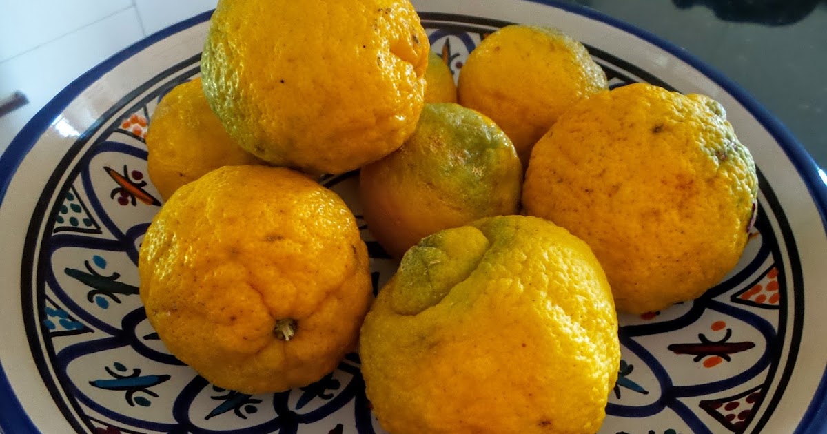 HAPPY RETIREE'S KITCHEN : Making the best Lemon Curd from the Bush ...