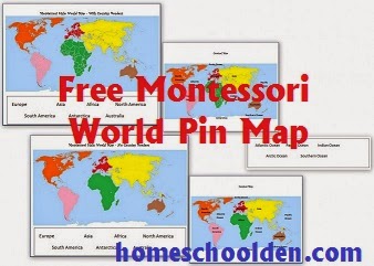 The Homeschool Den: Rain Forest Plants Activity