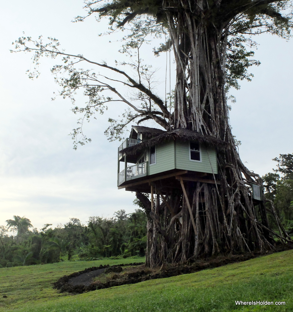 WhereIsHolden?: Samoa Treehouse