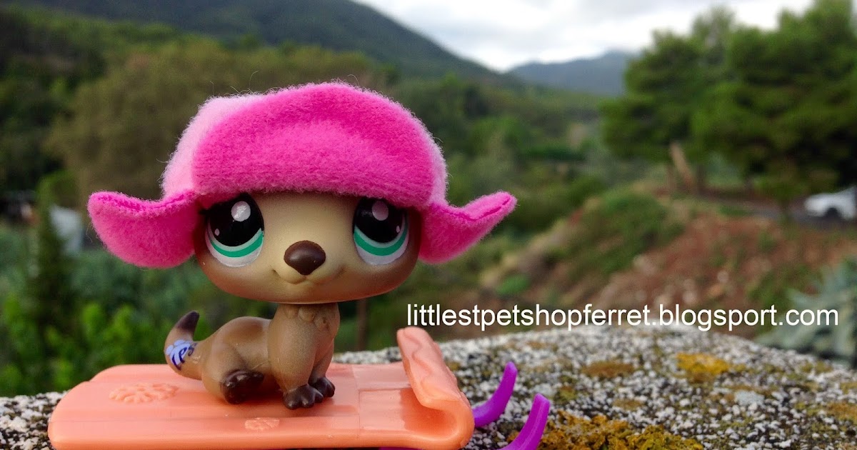 Littlest Pet Shop colección hurones.: LPS Nutrias