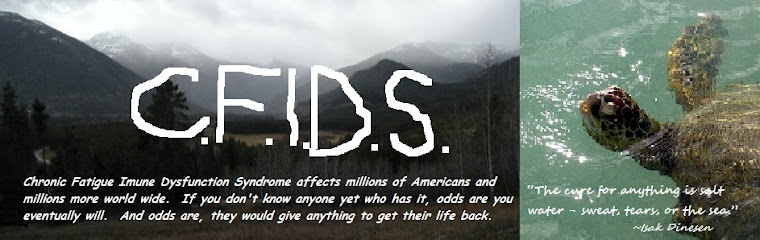 Turtle Medicine: Stories of a CFIDS/Lyme Disease Mom: NHBPM Day 24 ...