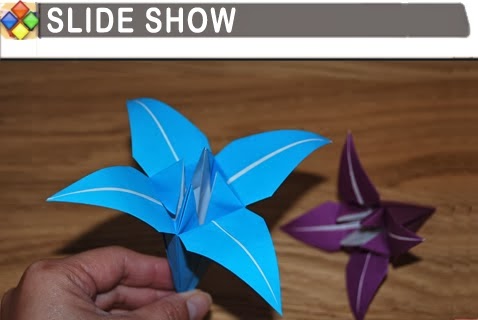 Paper Crafting: Slide Show Lily Flower