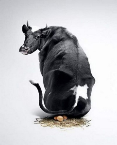 Video Images & Artcles: 20 unique images created in Photoshop