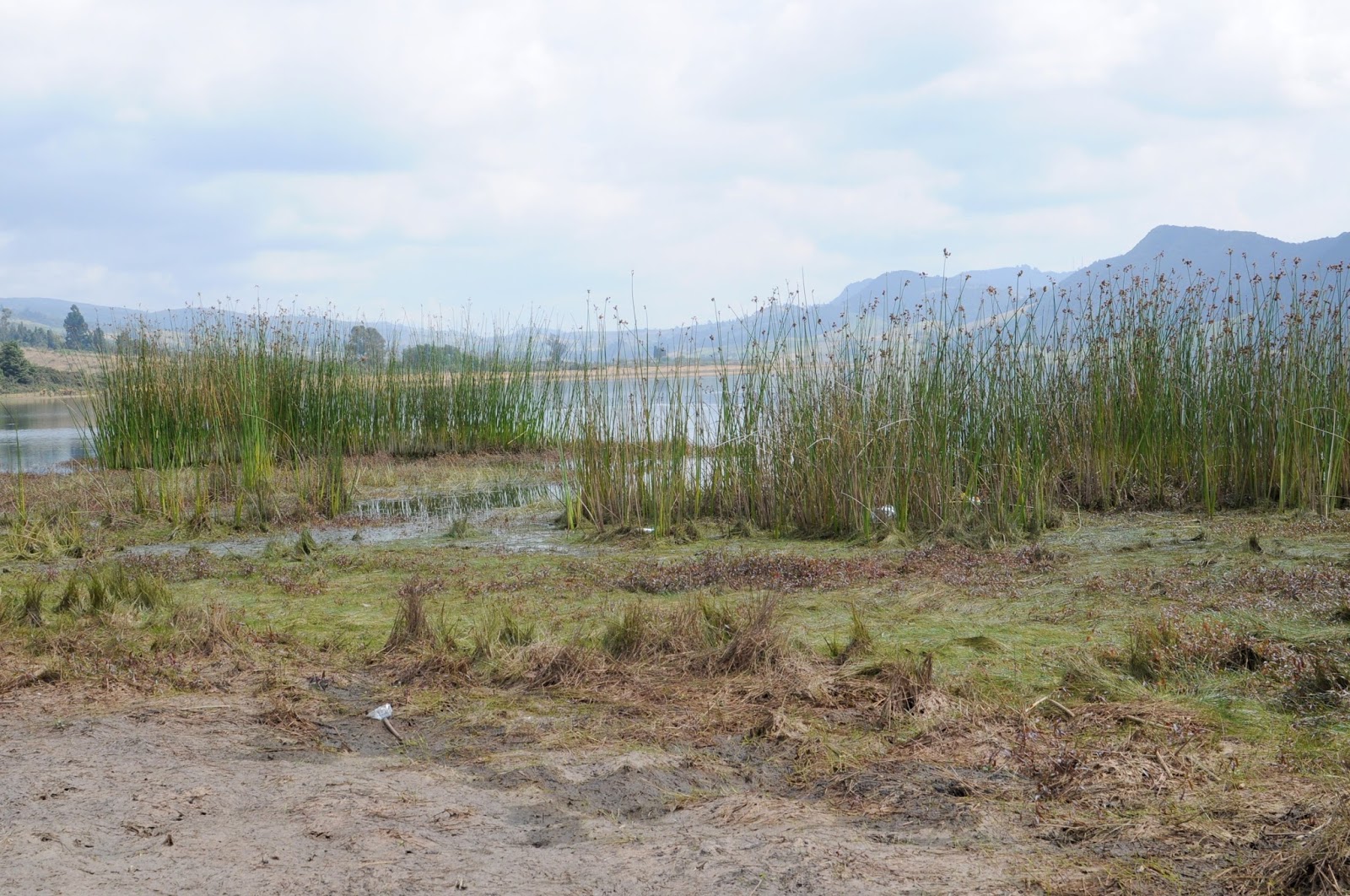 Amaneciendo en el Neusa | Una antología de aventuras