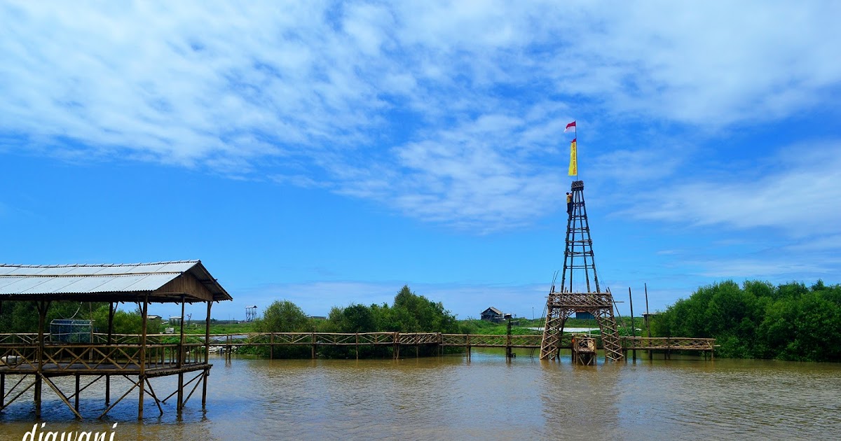 HUTAN MANGROVE PASIR KADILANGU : WISATA HUTAN MANGROVE YANG UNIK