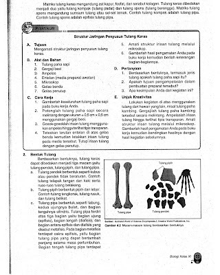 BIOLOGI GONZAGA: SISTEM GERAK SEDERHANA