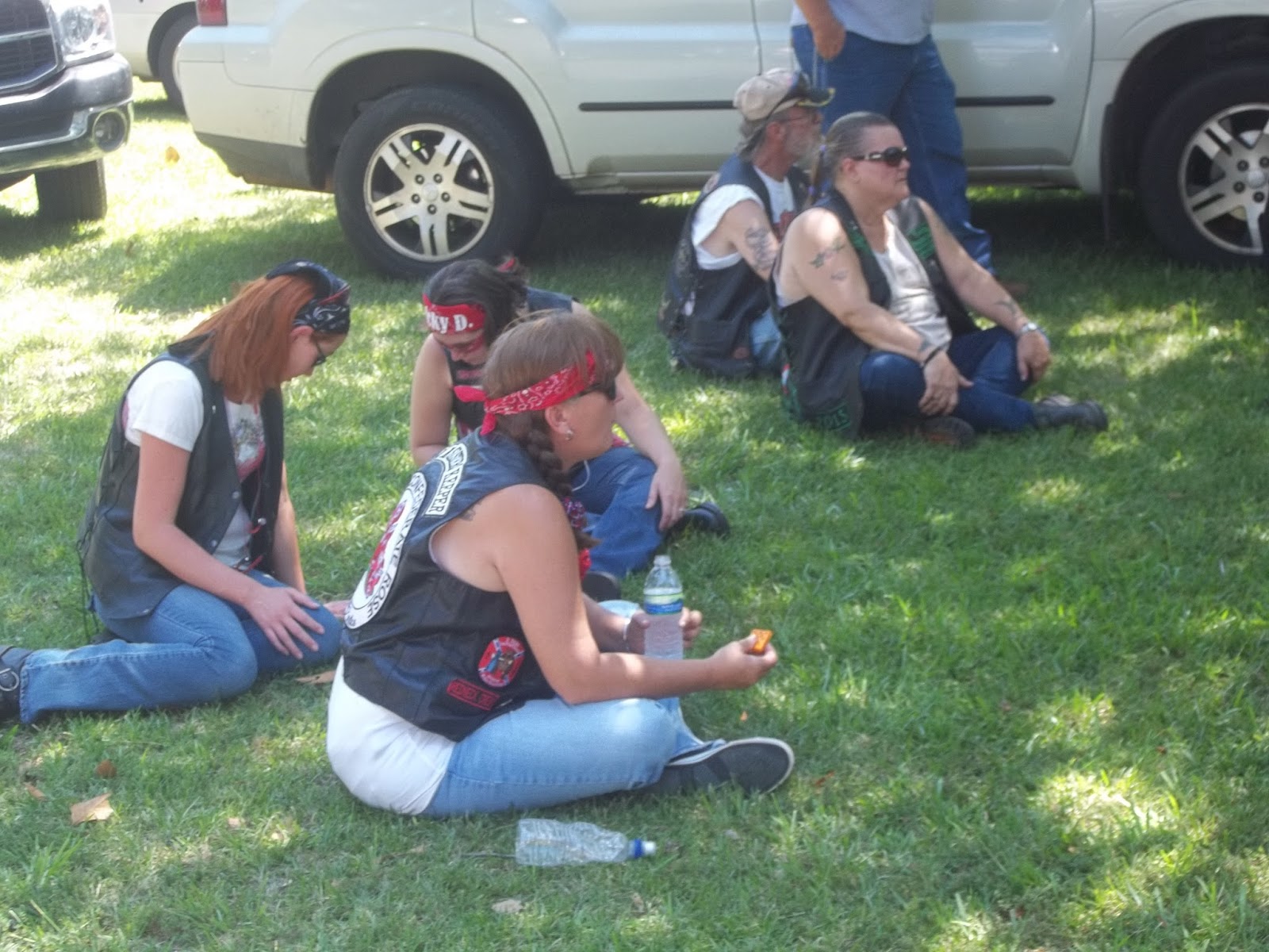 Southern Fried Common Sense & Stuff: "Rally To The Colours ...