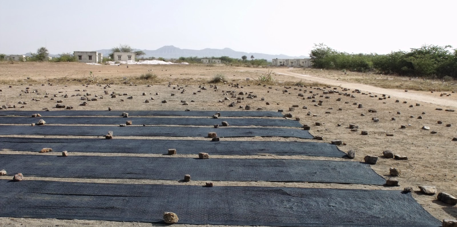 India The Great: Ancient indian technique extract color (Neelam) from ...