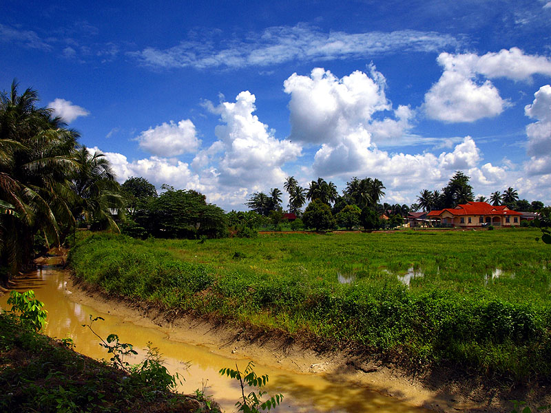 KODIANG AGRARIAN EXPO 2012: About the location