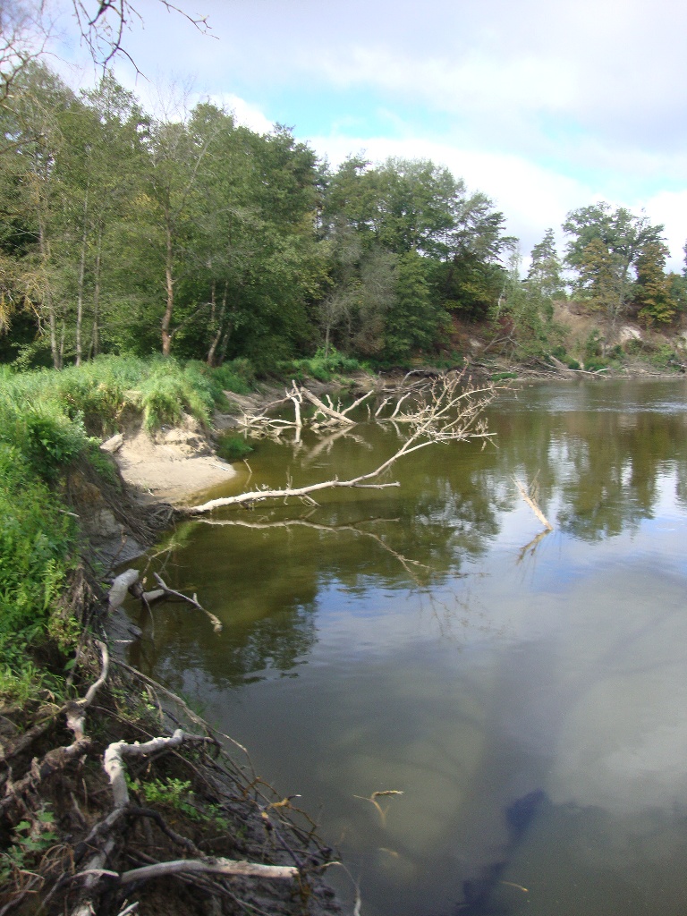Prochownia w Terespolu: Tym razem Neple.