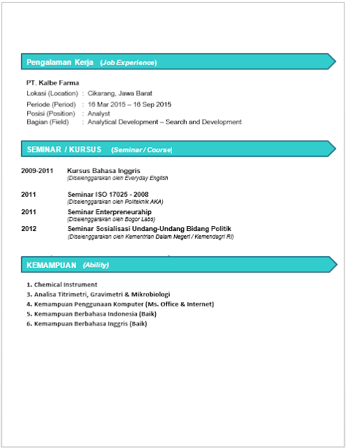 Contoh CV (Curriculum Vitae) - Indo Easy Brother
