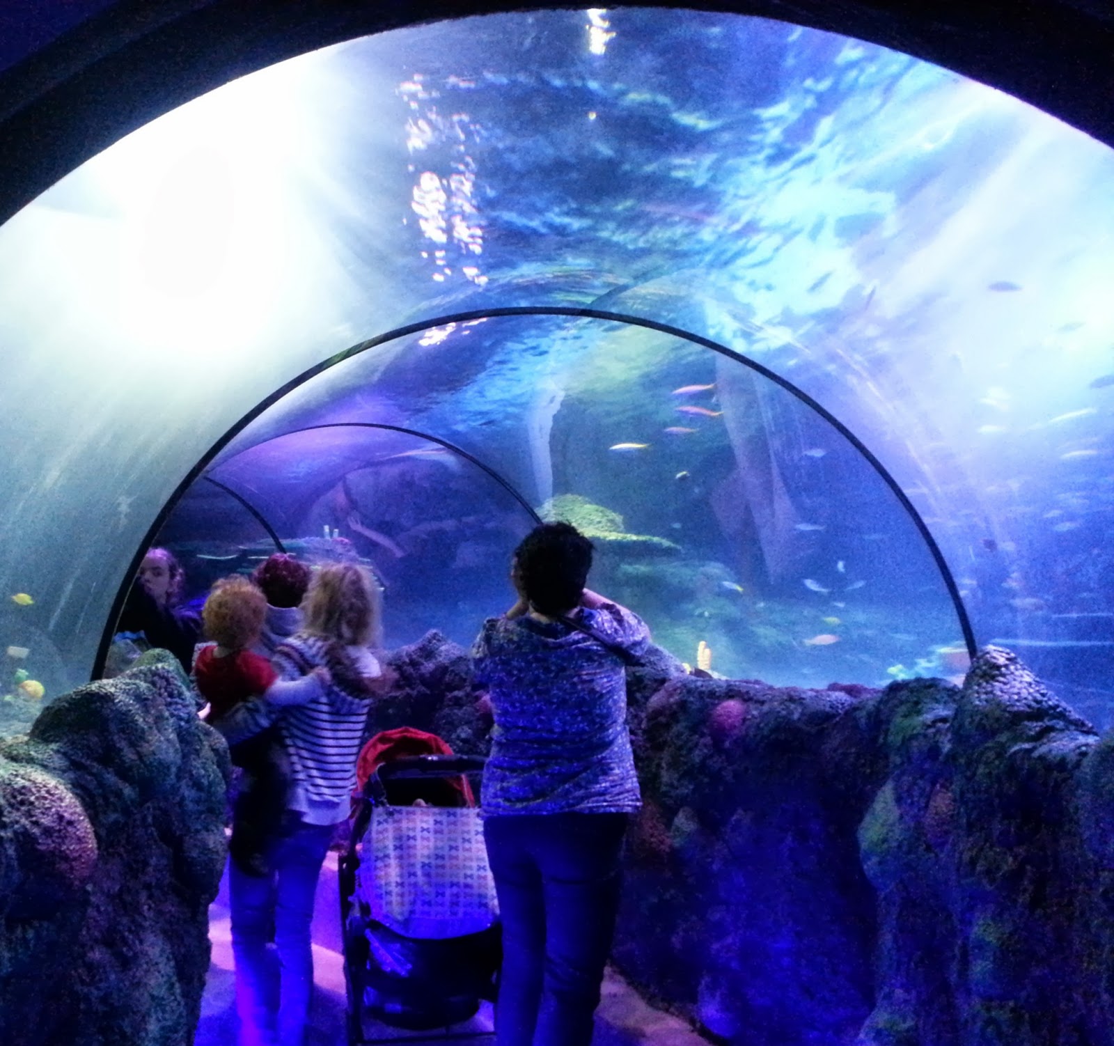 The Brick Castle: The New SEA LIFE Centre, Trafford Park, Manchester