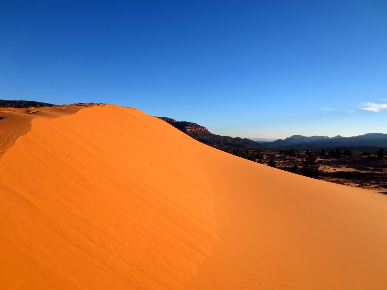 Journeys: Coral Pink Sand Dunes State Park, Zion and Bryce Canyon ...