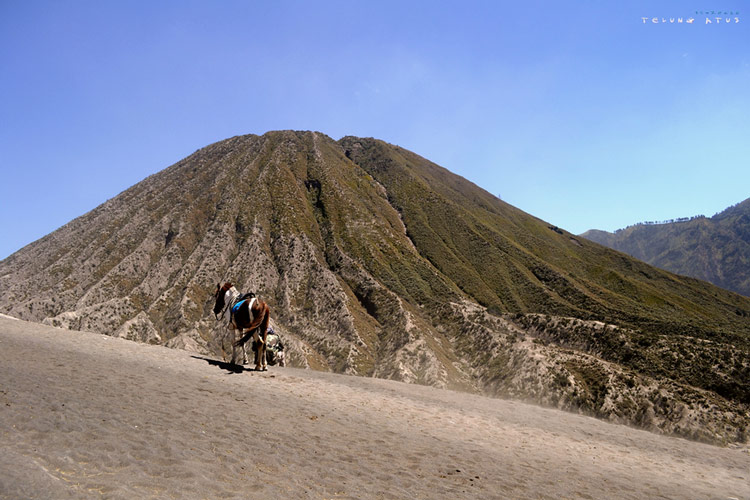 300 Traveling Indonesia: Bromo, a never ending story