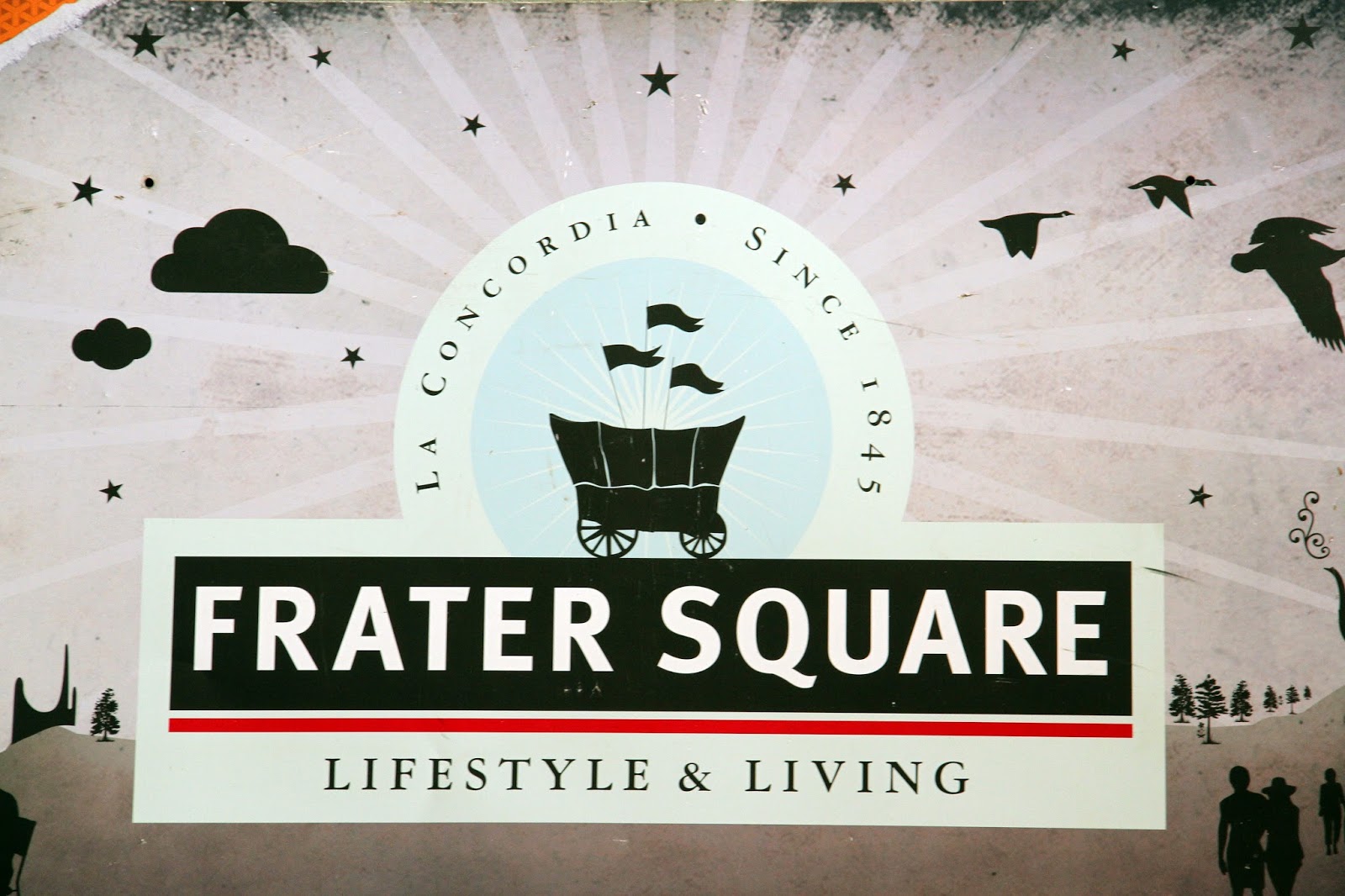 Under our own olive tree: When in Paarl .... Frater Square