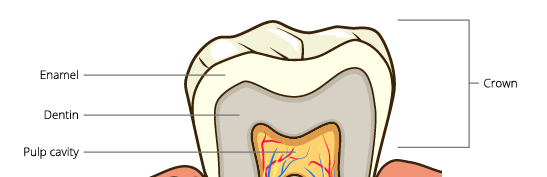 Dental Health and Wellness from your Friendly Dentist : Teeth Whitening ...