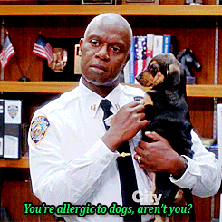 What kind of dog breed is Captain Holt holding in S1 Ep 12 The Pontiac ...