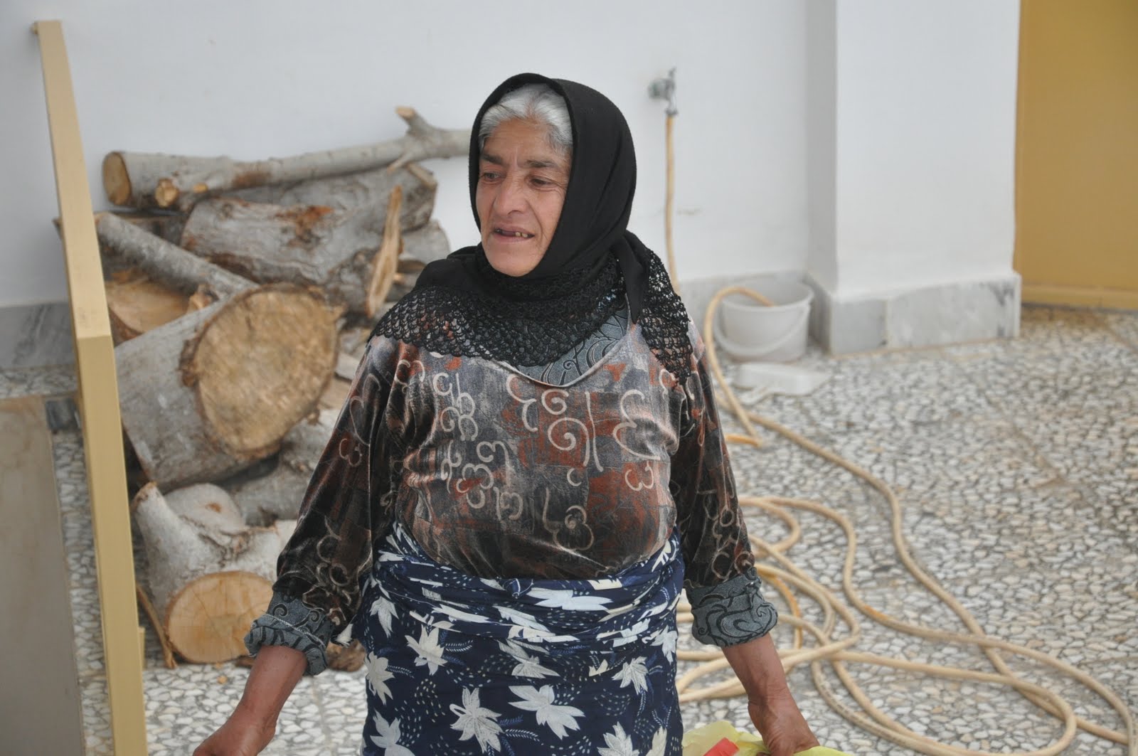 The Olive Journey: A Perfect Hideaway - Sanchol, Mazandaran