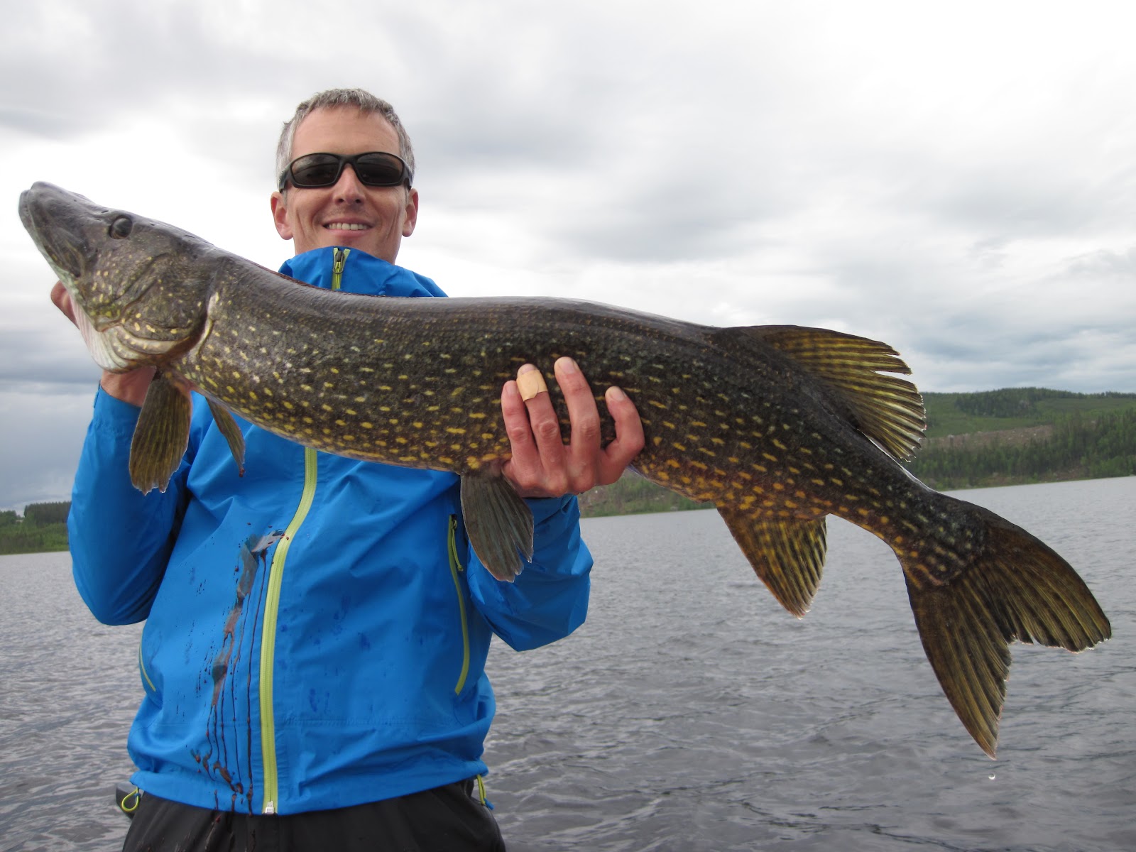 FISHING IN SWEDEN - LAPPLAND PRO NATUR - GAFSELE: Big pike for big anglers.