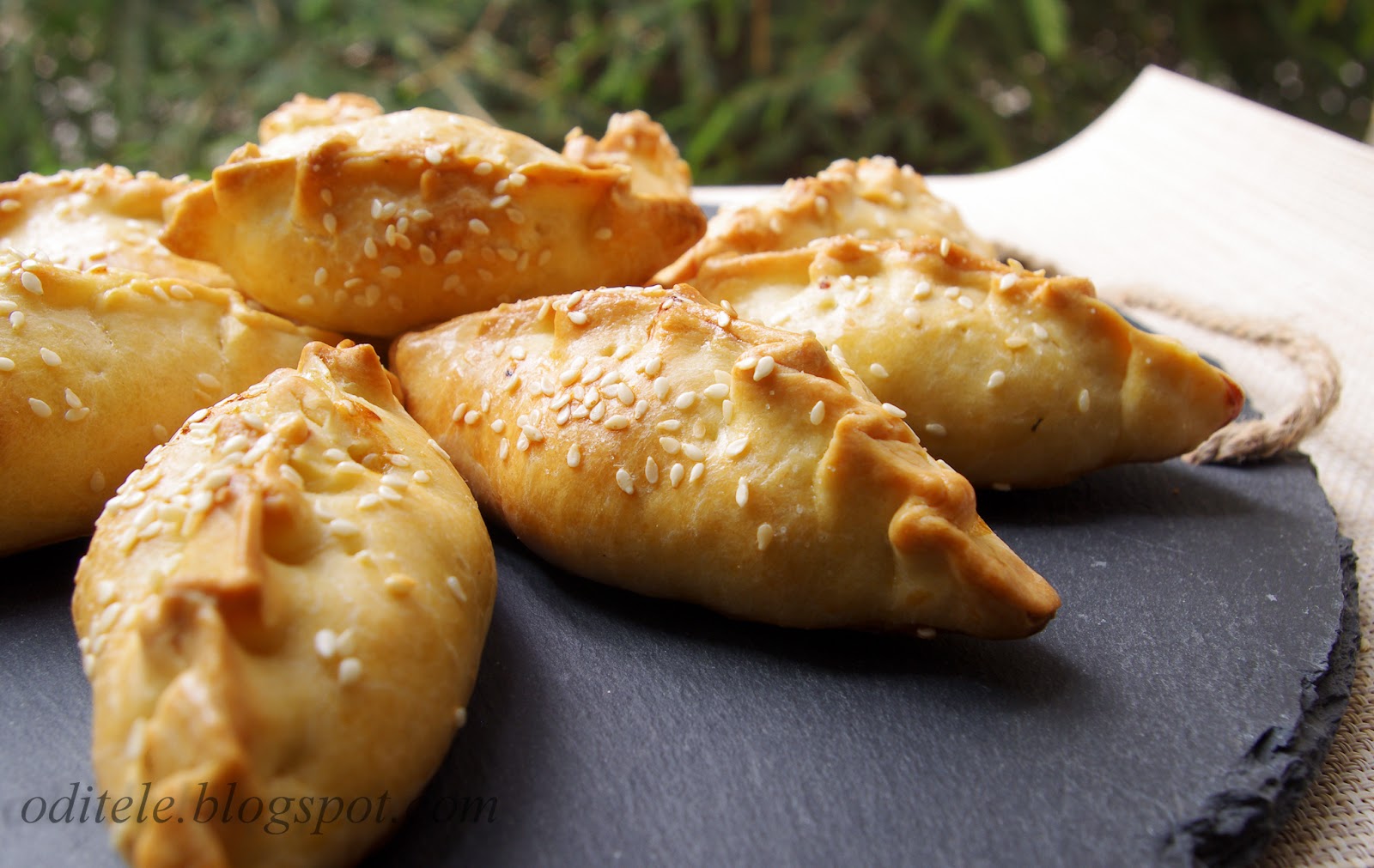 Oditėlės blogas: NAMINIAI KIBINAI