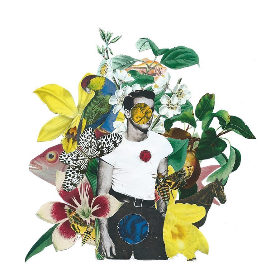 Seduced by the New...: Colllage Art