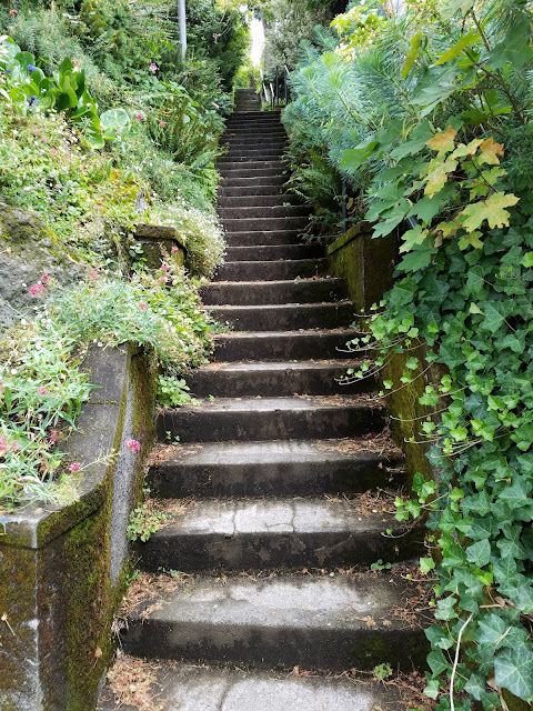 Dave Goes Outside: Portland Stairs Quest 5: Alameda Ridge