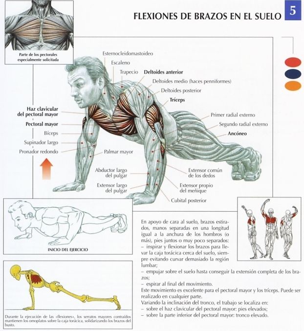 RUTINASBODYFITNESS: RUTINA PECHO-TRICEPS-CARDIO