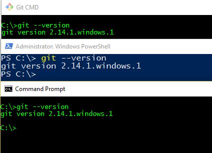 How to use git in windows