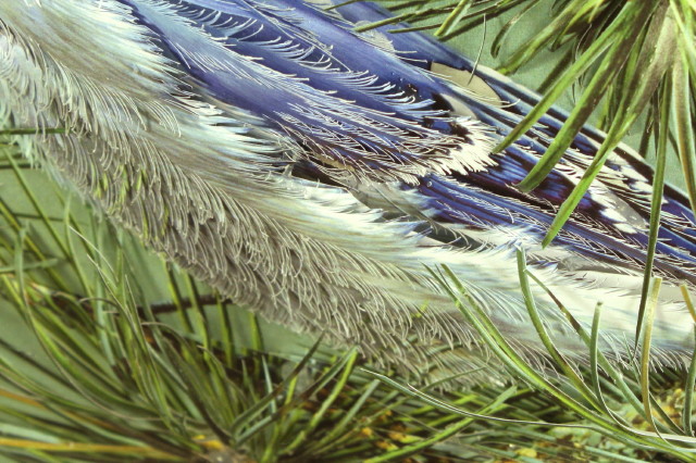 Marjo's Art: Paper Tole Gallery